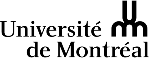 Our Story | IVADO Labs